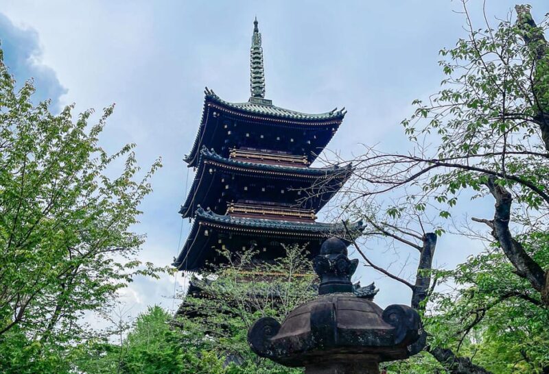 Tokyo A: City Tour in Spanish - Spanish - Transportation and Accessibility