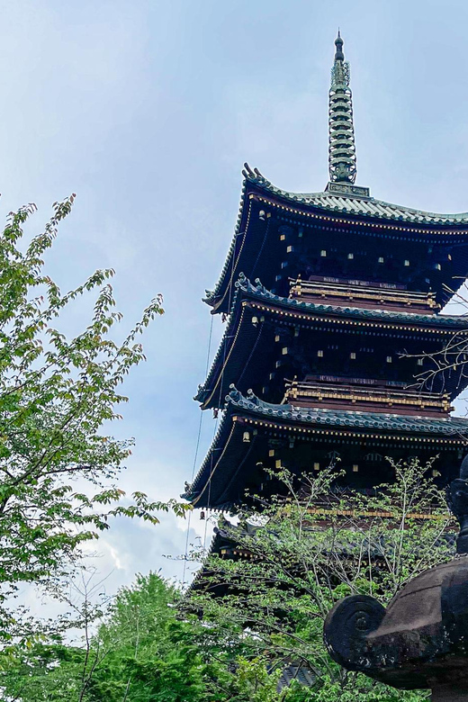 Tokyo A: City Tour in Spanish - Spanish - Exploring Ueno Park