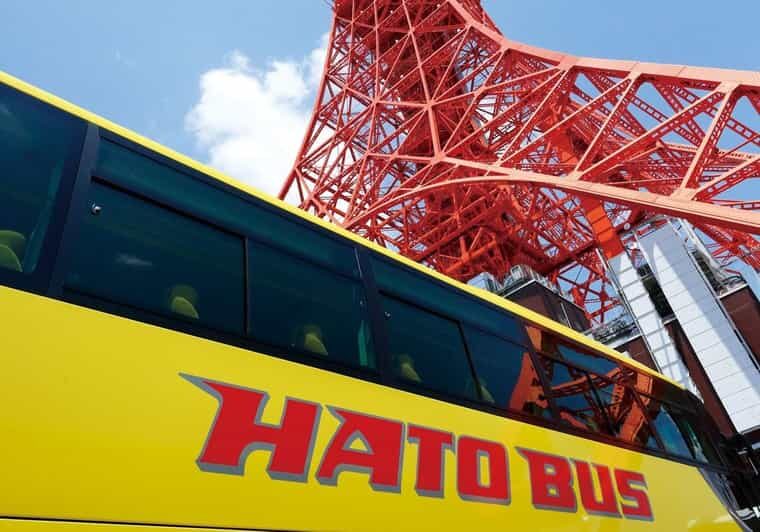 Tokyo: A Half-Day Trip Bus Tour in the Morning - Who Should Consider This Tour?