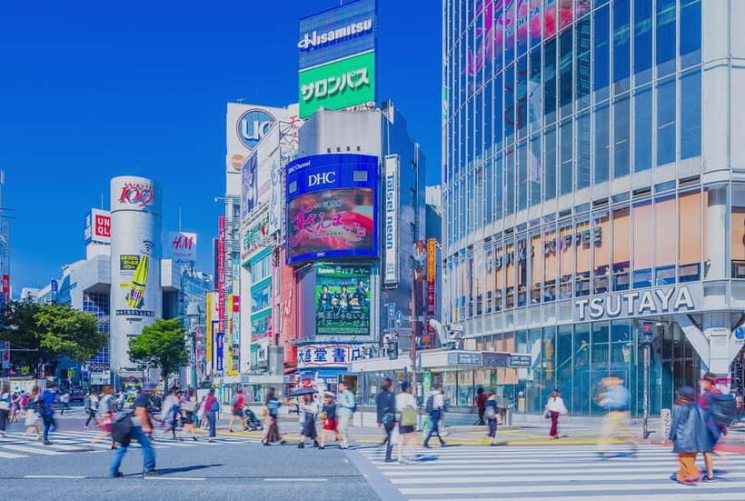 Tokyo Adventure Tour With English Guide - The Bottom Line