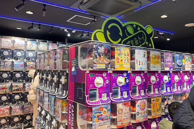 Tokyo Akihabara Anime Manga Video Games and Hidden Gems Tour - Practical Details and Tips