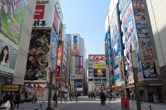 Tokyo Akihabara Anime Manga Video Games and Maid Cafe Tour - Inclusions