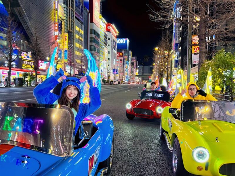 Tokyo: Akihabara Go-Karting Tour (Including Guide) - Itinerary and Highlights