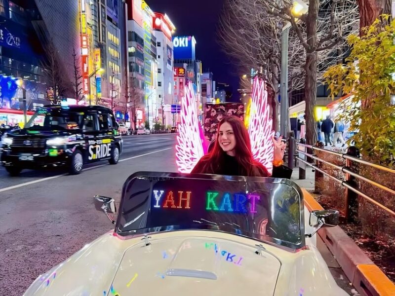 Tokyo: Akihabara Go-Karting Tour (Including Guide) - Tour Meeting Point and Route