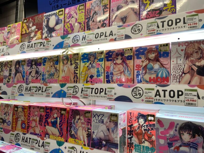 Tokyo: Akihabara Private Hentai Tour - Exploring Akihabara