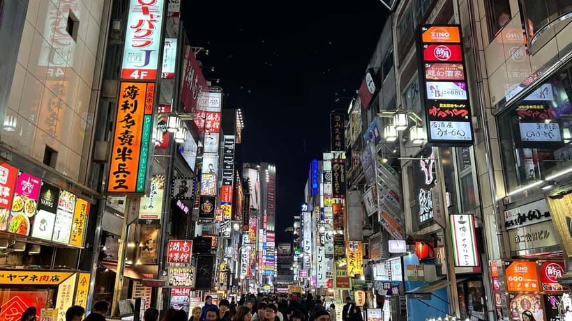 Tokyo: Akihabara, Shibuya, Karaoke & City Lights Night Tour - Final Thoughts