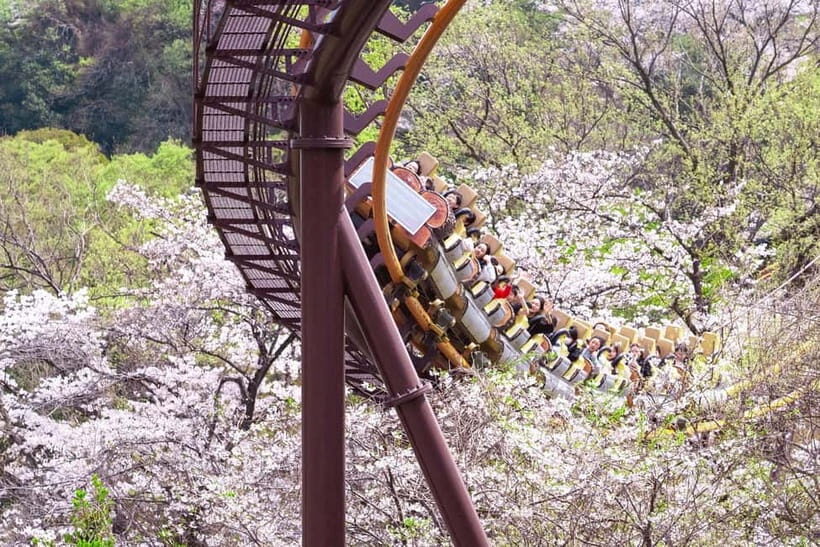 Tokyo: Amusement Park Yomiuri Land Entry Ticket - What to Expect at the Park