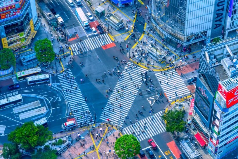 Tokyo: Anime, Manga and capsule toy Tour in Shibuya - Final Thoughts: Is This the Right Tour for You?