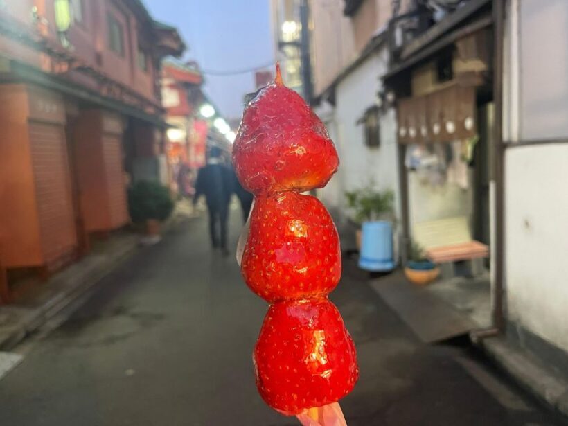 Tokyo: Anywhere you like! Tokyo Customized Tour in 3 hours - FAQ