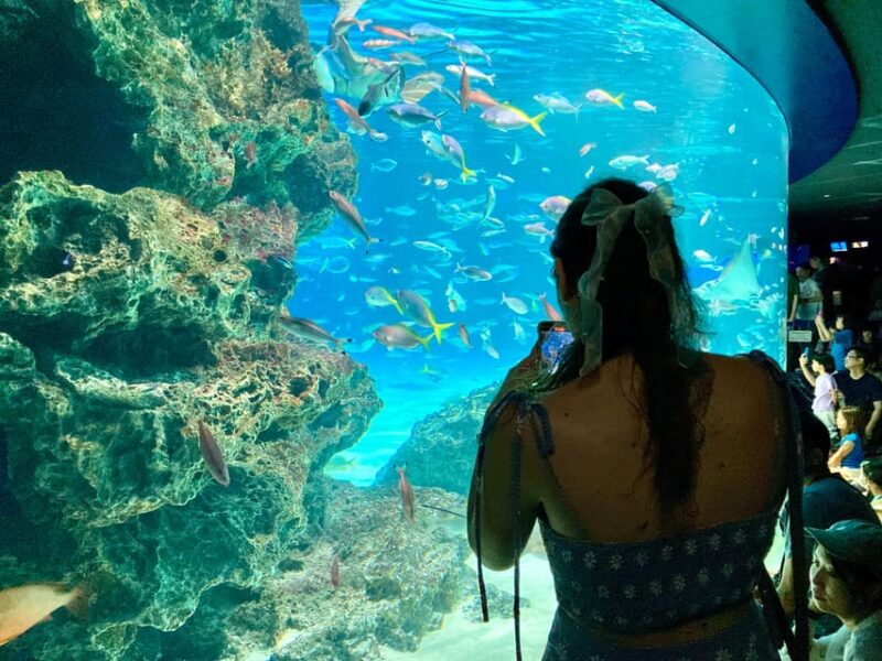 Tokyo : Aquarium Backyard Tour and Tokyo View Observatory - Behind-the-Scenes Access at Sunshine Aquarium