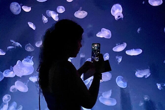 Tokyo, Aquarium Backyard Tour and View Observatory in Ikebukuro - Introduction