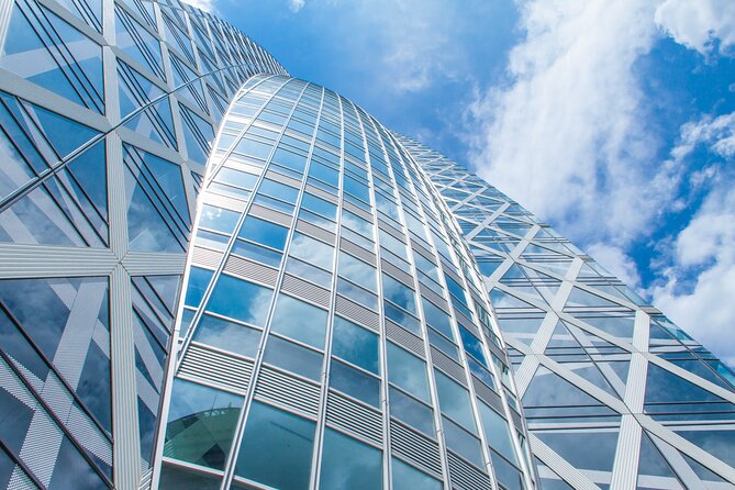 Tokyo Architecture and Contemporary Art Walking Tour With a Local Guide - Flexibility and Personalization