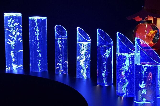 Tokyo Art Aquarium Museum E-Ticket With Optional Tokyo Metro Pass - Key Points