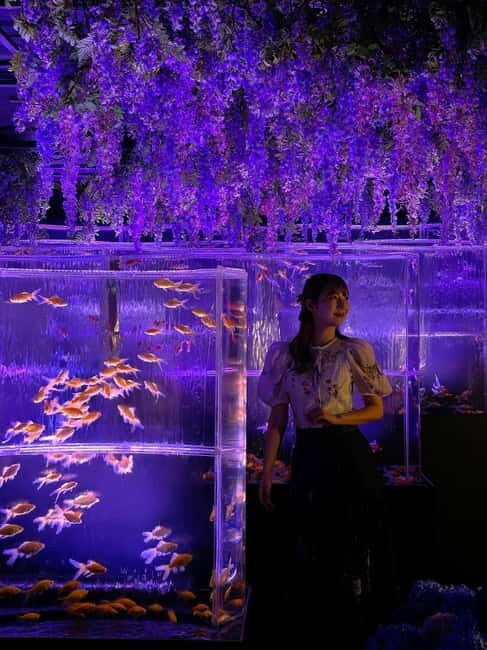 Tokyo: Art Aquarium Museum GINZA Entry Ticket - Practical Details and Value