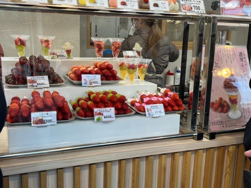 Tokyo Asakusa History and Traditional Downtown Walking Tour - Who Is This Tour Best For?