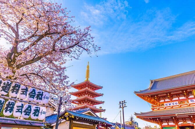 Tokyo: Asakusa History Walking Tour & Street Food - Discovering the Kaminarimon Gate and Nakamise Street