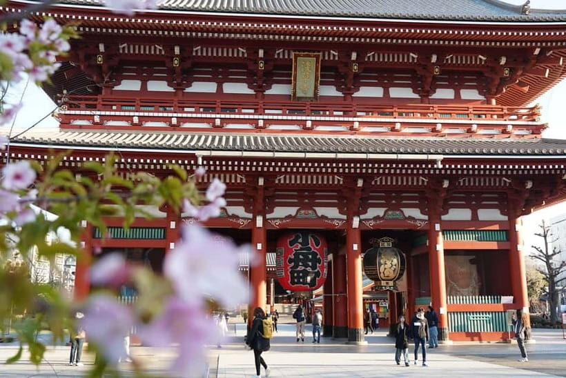 Tokyo: Asakusa, Meiji Jingu, and Tsukiji Fish Market Tour - Price and Value