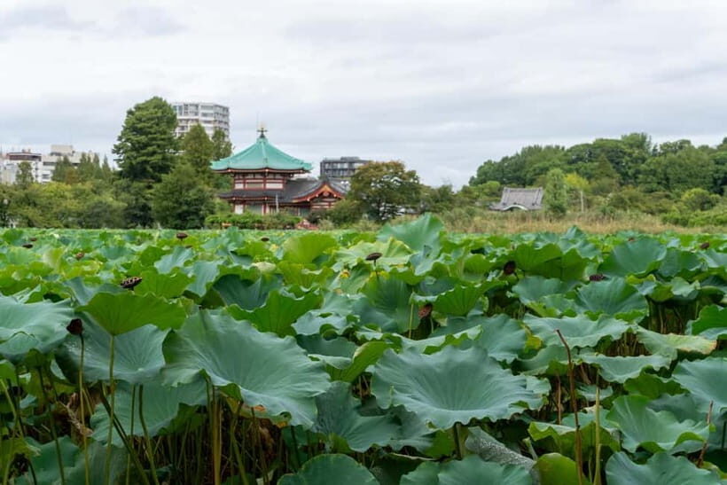 Tokyo: Asakusa & Senso-ji Temple 1.5-Hour Guided Tour - FAQ