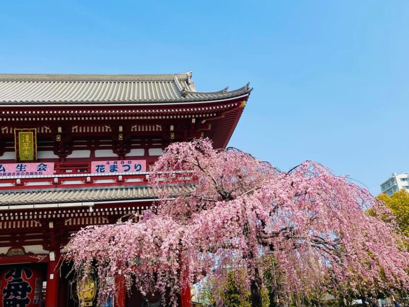 Tokyo: Asakusa Senso-ji Temple Private Walking Tour - Key Points