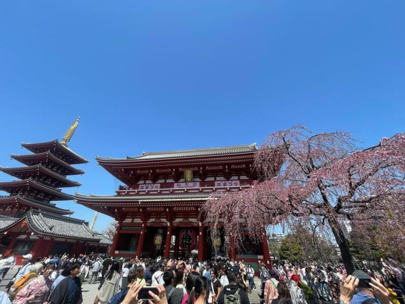 Tokyo: Asakusa Senso-ji Temple Private Walking Tour - Kaminarimon (Thunder Gate)