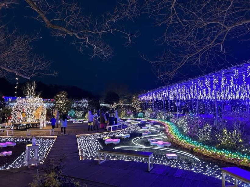Tokyo: Ashikaga Flower Park with Entry Ticket - The Illuminations: A Nighttime Marvel