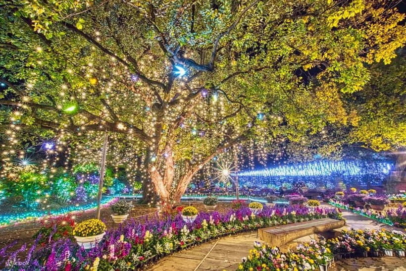 Tokyo: Ashikaga Flower Park with Entry Ticket - The Travel Experience: Comfort and Convenience