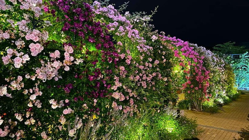 Tokyo: Ashikaga Flower Park with Entry Ticket - Discovering Ashikaga Flower Park: A Practical Review of Japan’s Floral Wonderland