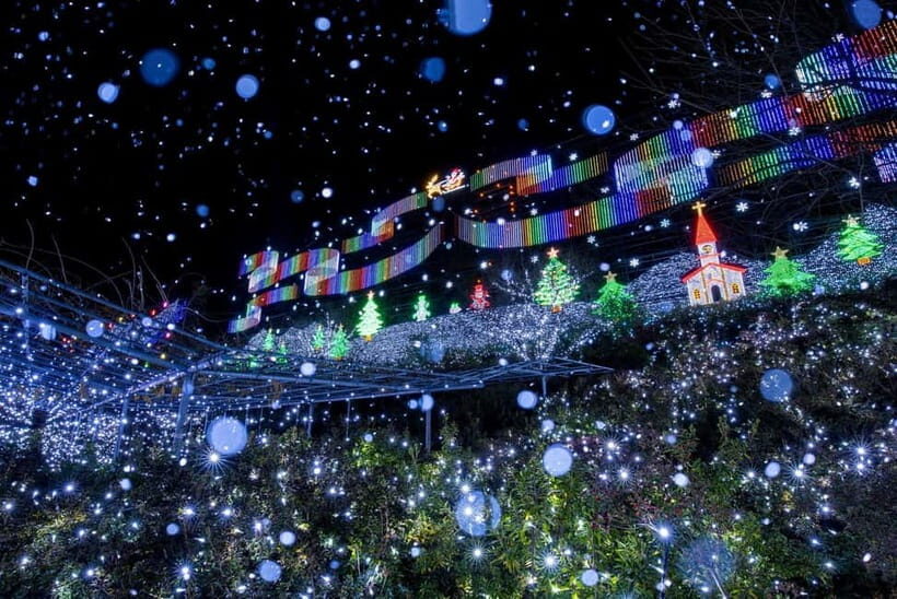 Tokyo: Ashikaga Flower Park with Entry Ticket - The Sum Up: Is This Tour Right for You?