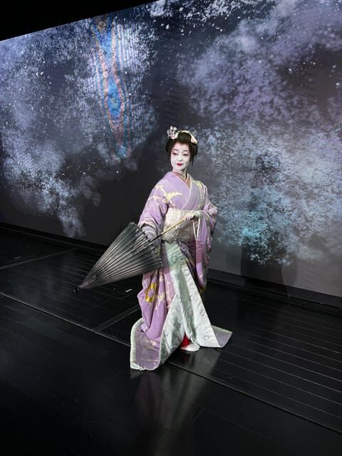 Tokyo: Authentic Japanese Dance Show ticket by professionals - A Personal Look at the Japanese Dance Show in Shinjuku