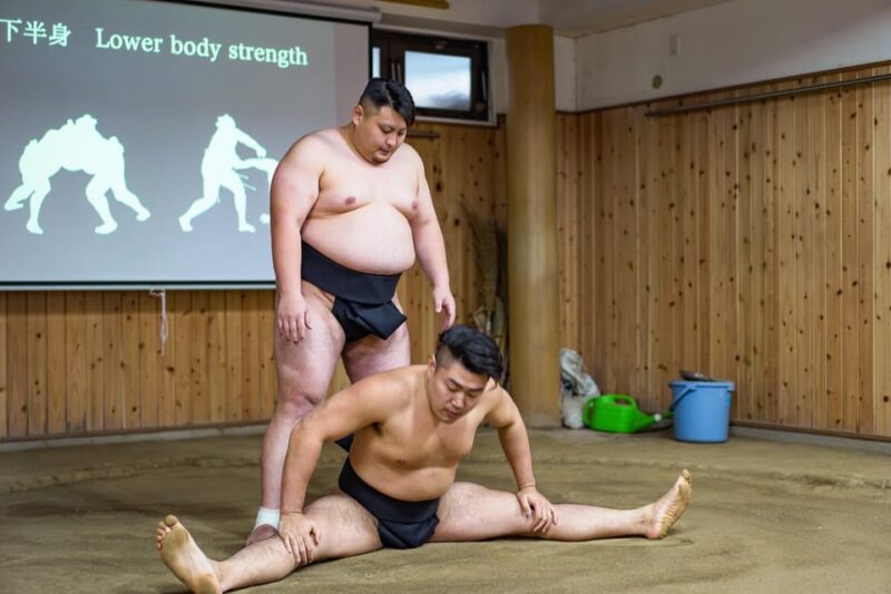 Tokyo: Authentic Sumo Wrestling Experience With Lunch - What to Expect During the Sumo Stable Visit