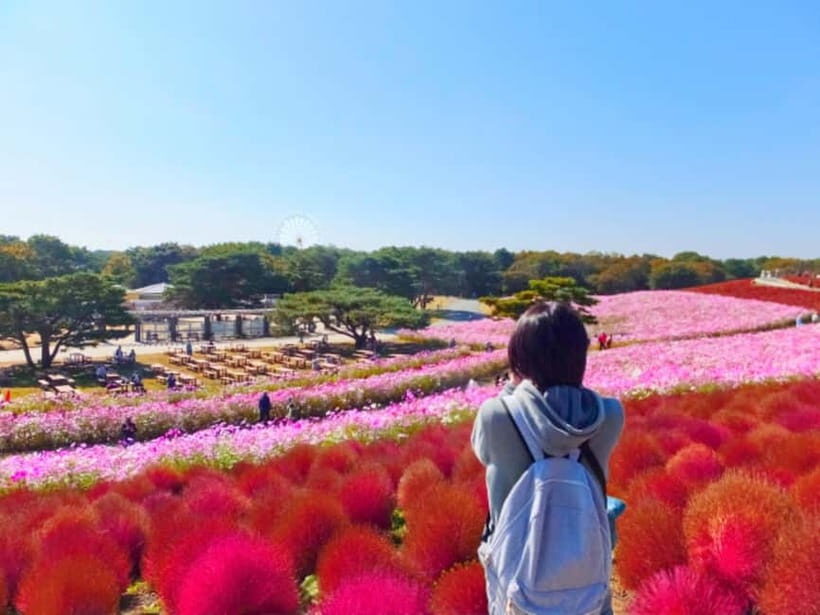 Tokyo: Autumn Hitachi Seaside Park, Fukuroda Falls & Ryujin - An In-Depth Look at the Tour