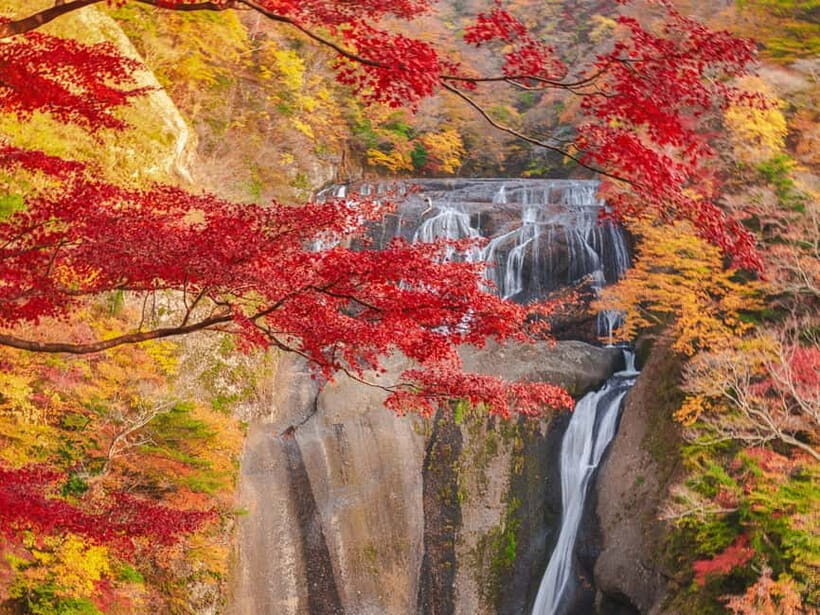 Tokyo: Autumn Hitachi Seaside Park, Fukuroda Falls & Ryujin - Price and Value