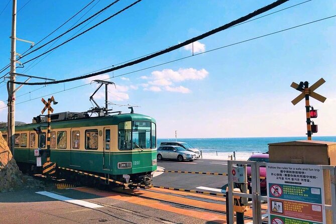 Tokyo: Bus Tour to Kamakura Great Buddha & Enoshima With Pickup - Key Points