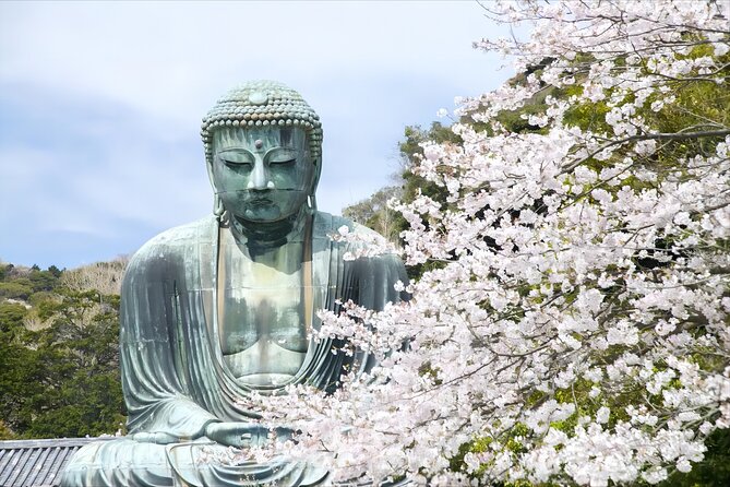 Tokyo: Bus Tour to Kamakura Great Buddha & Enoshima With Pickup - Pickup and Meeting Points