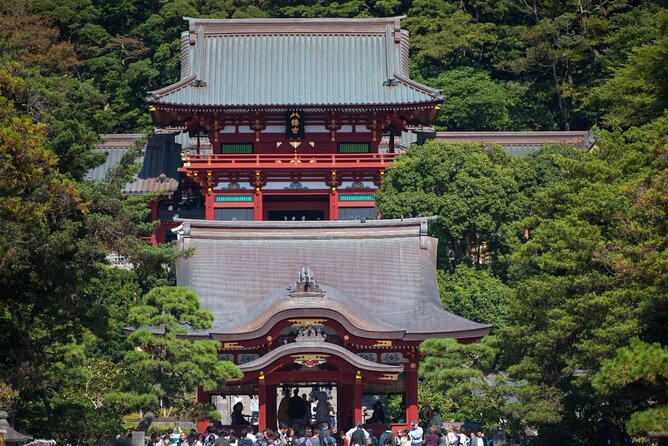Tokyo: Bus Tour to Kamakura Great Buddha & Enoshima With Pickup - Cancellation Policy