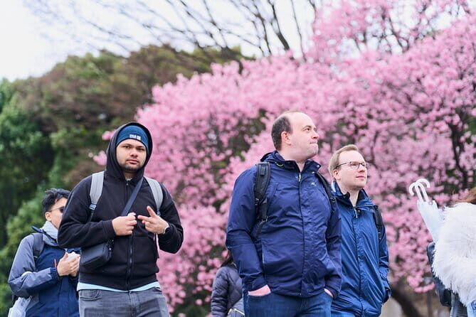 Tokyo Castle & Imperial Palace , Historical Walking Tour - In-Depth Look at the Tour Experience