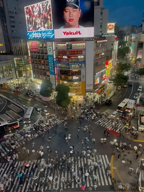 Tokyo: Charter Private Day Tour With English Guide - Customer Reviews