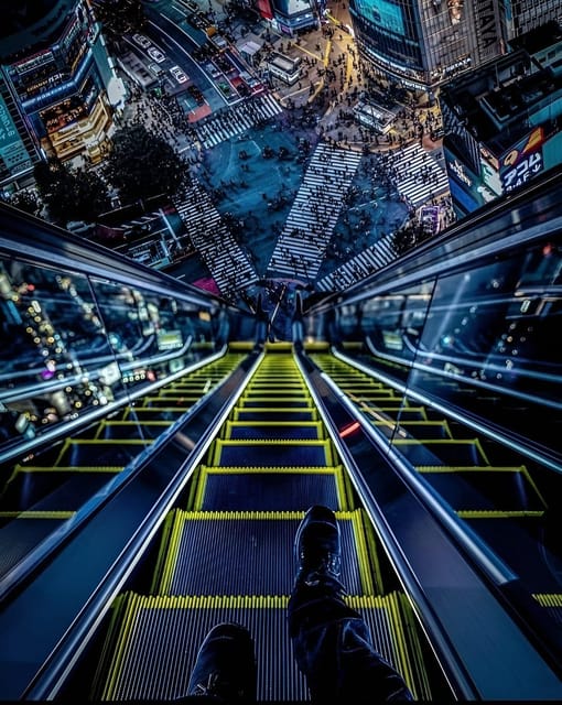 Tokyo: Charter Private Day Tour With English Guide - Tour Flexibility and Customization