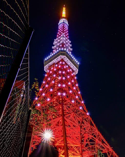 Tokyo: Charter Private Day Tour With English Guide - Tokyo Travel Tips