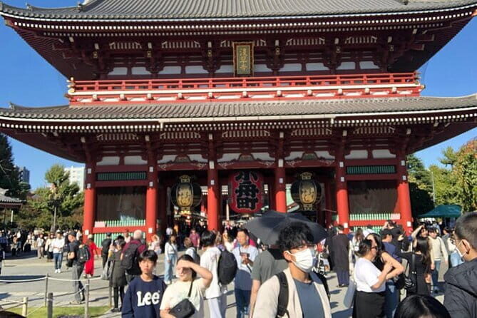 Tokyo Cherry Blossom Half Day Walking Tour with a Local Guide - The Sum Up