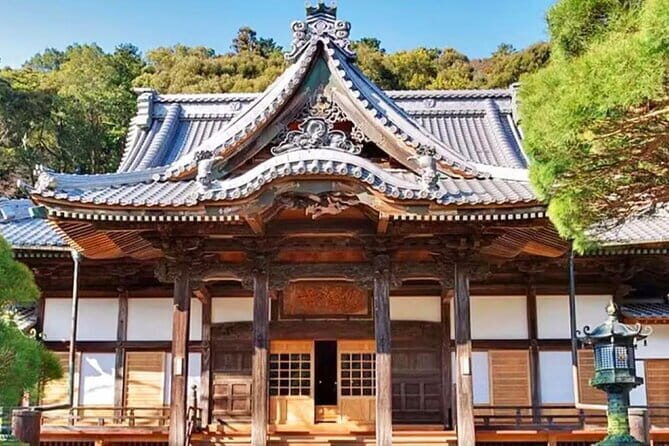 Tokyo Cherry Blossom, Hot Spring, and Strawberry Picking Tour - Key Points