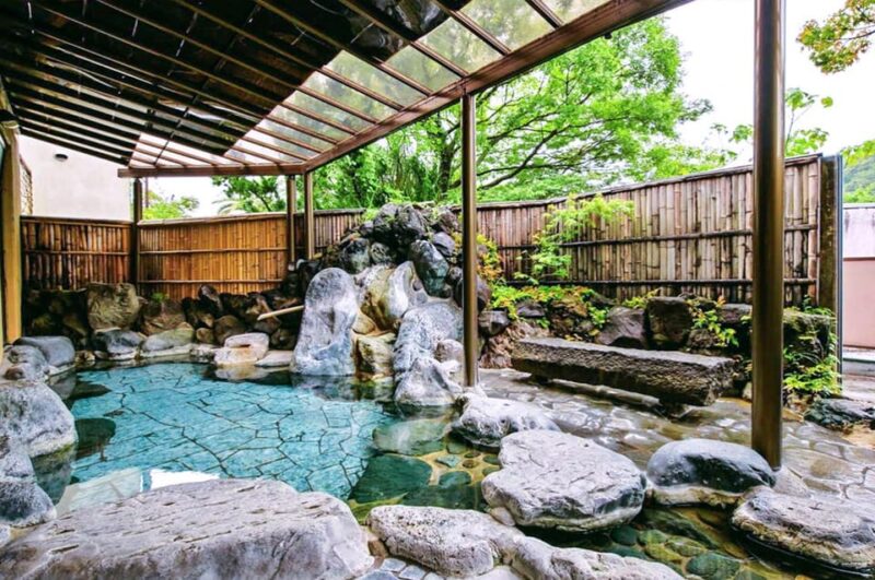 Tokyo: Cherry Blossom, Hot Spring, & Strawberry Picking Tour - Cherry Blossom Festivals