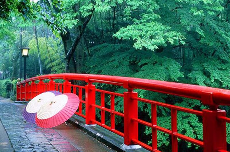 Tokyo: Cherry Blossom, Hot Spring, & Strawberry Picking Tour - Cultural Exploration