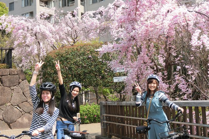 Tokyo Cherry Blossoms Blooming Spots E-Bike Tour, 3hrs - Meeting Point and Accessibility