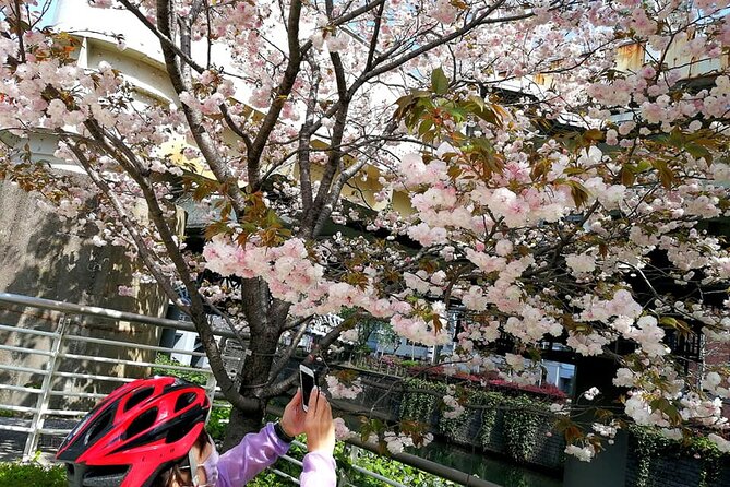 Tokyo Cherry Blossoms Blooming Spots E-Bike Tour, 3hrs - Exploring Tokyos Cherry Blossoms by E-Bike