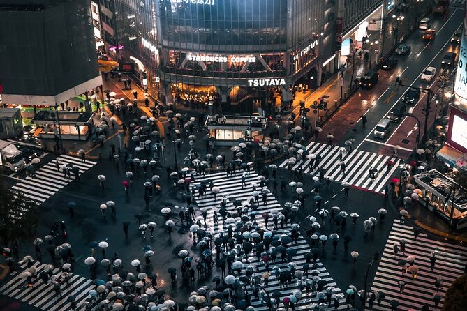 Tokyo City 1-Day Private Tour With Bilingual Driver - Convenience and Recommendations