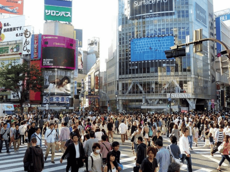 Tokyo City: Customize Day Tour English Speaking Chauffer - Key Points