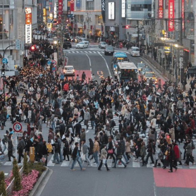 Tokyo City: Customize Day Tour English Speaking Chauffer - Tokyo Tower Sightseeing