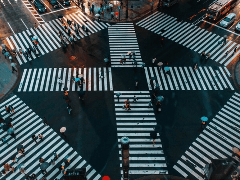 Tokyo City: Customize Day Tour English Speaking Chauffer - Shibuya Crossing Excursion