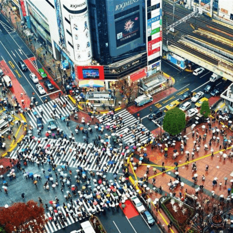 Tokyo City: Customize Day Tour English Speaking Chauffer - Frequently Asked Questions